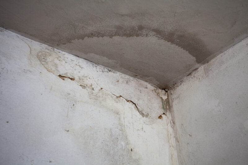 A Guide: How to Fix a Damp Ceiling | First Response